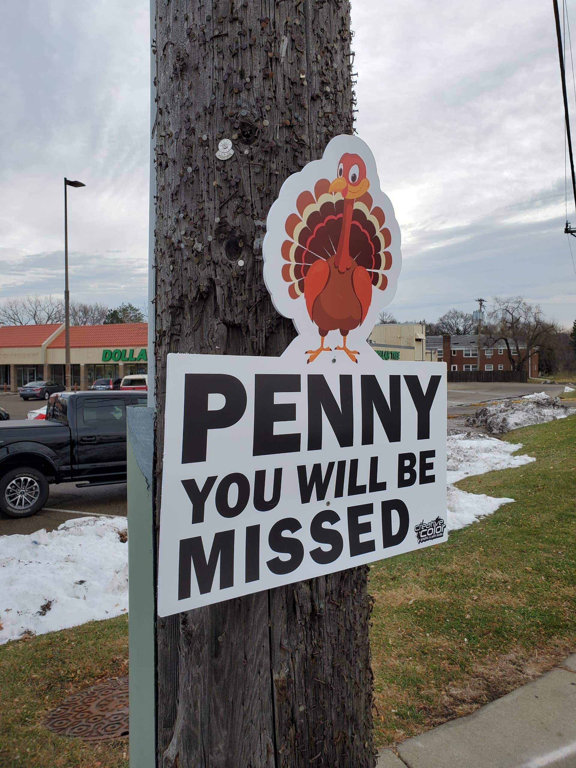 Minnesota DNR shoots Bloomington mainstay Penny the turkey - Bring Me ...