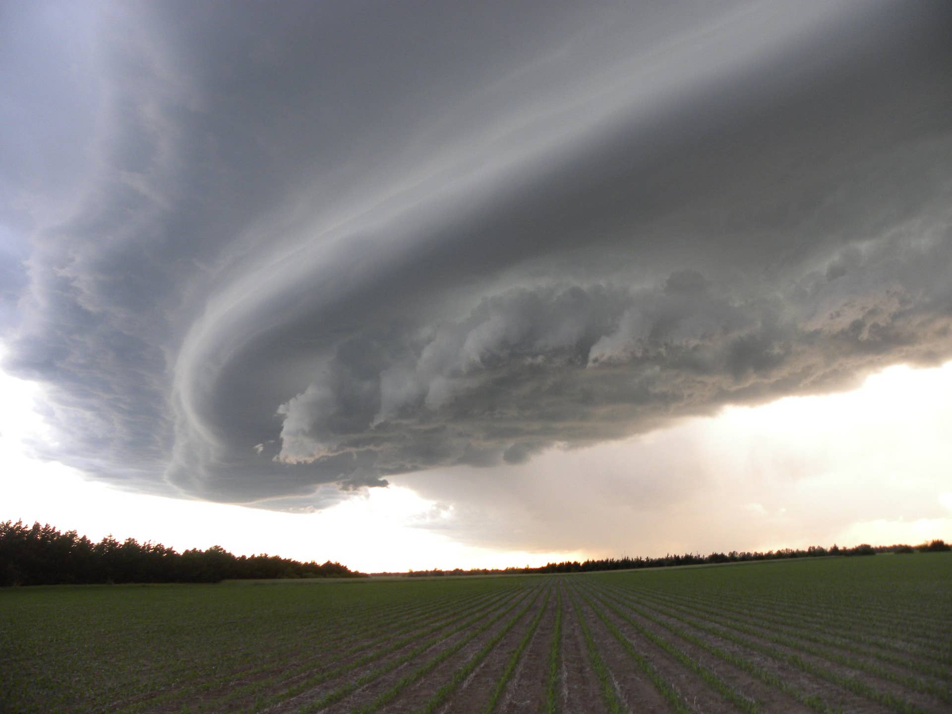 Severe T-storm watch issued in Minnesota alongside blizzard and winter ...