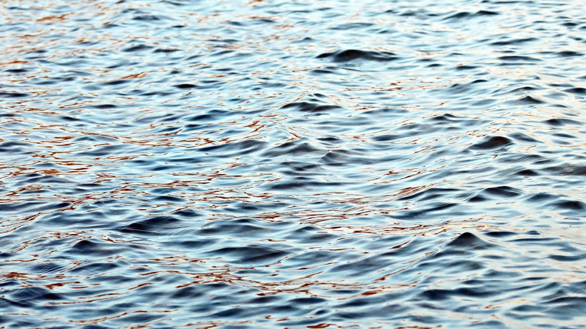 Isanti man drowns while trying to help dog in Minnesota lake - Bring Me ...