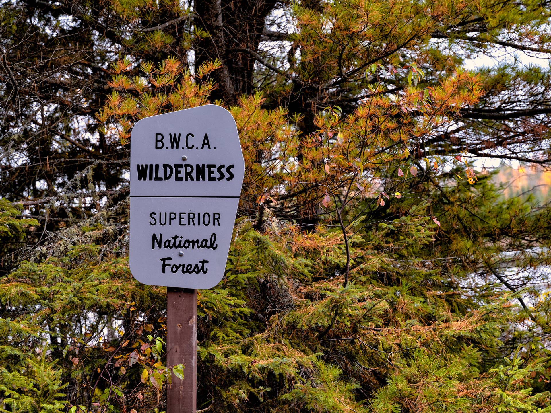 Boundary Waters campfire restrictions will be lifted - Bring Me The News