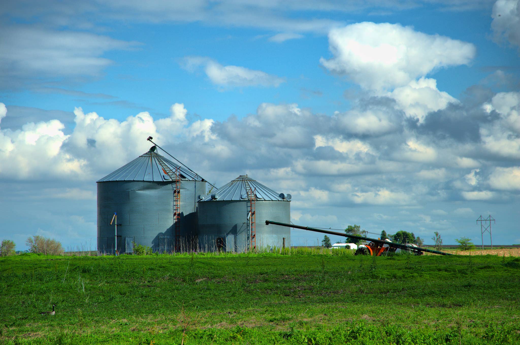 Man dies after becoming trapped in grain bin at Minnesota farm - Bring ...