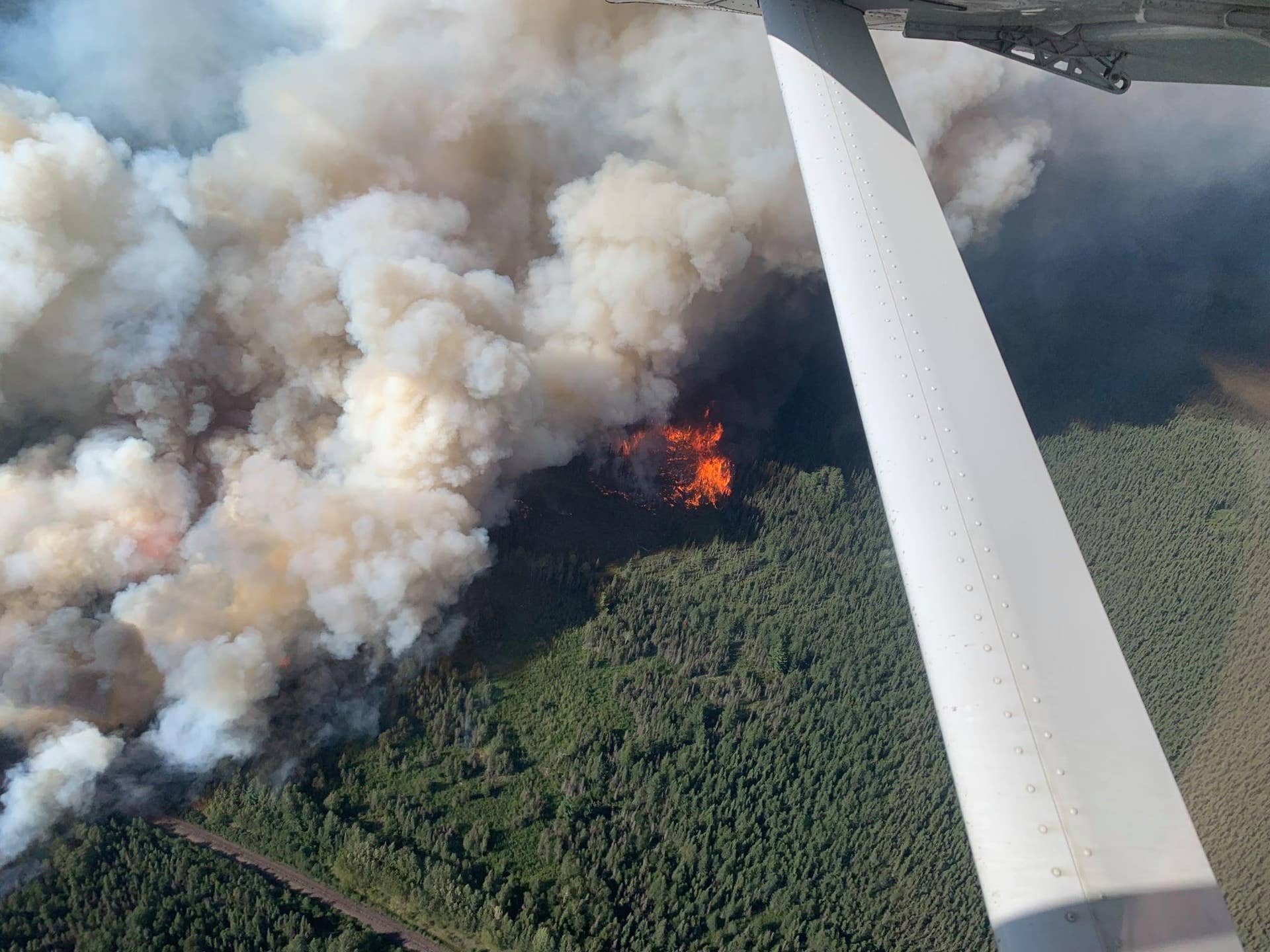 Live: Wildfire rapidly growing, sister of track star fatally run over ...