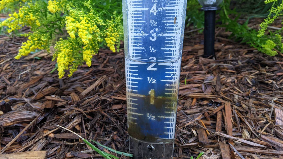 Minnesota rain totals so far: Latest amounts from this week's downpours ...