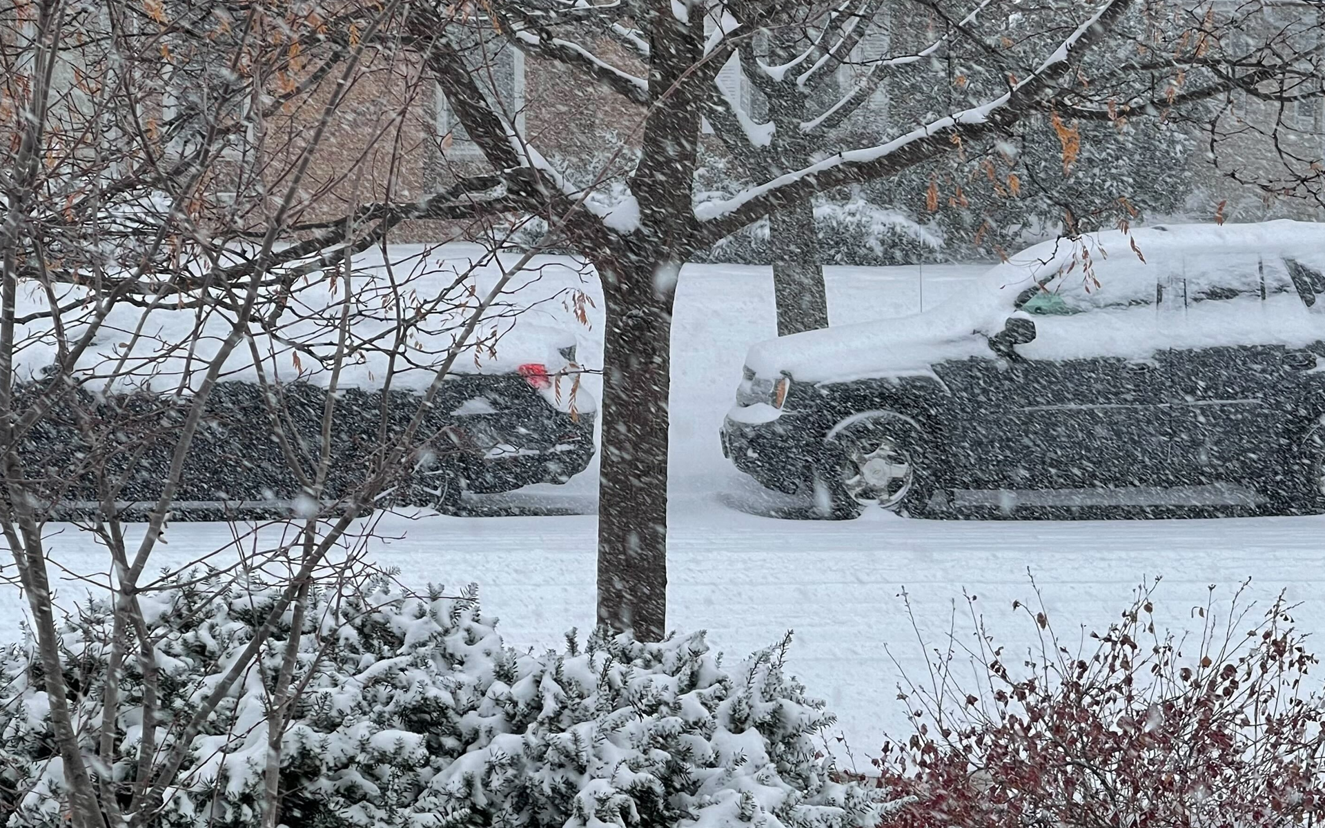 Winter storm warning issued: Up to 12 inches of snow set to fall in ...