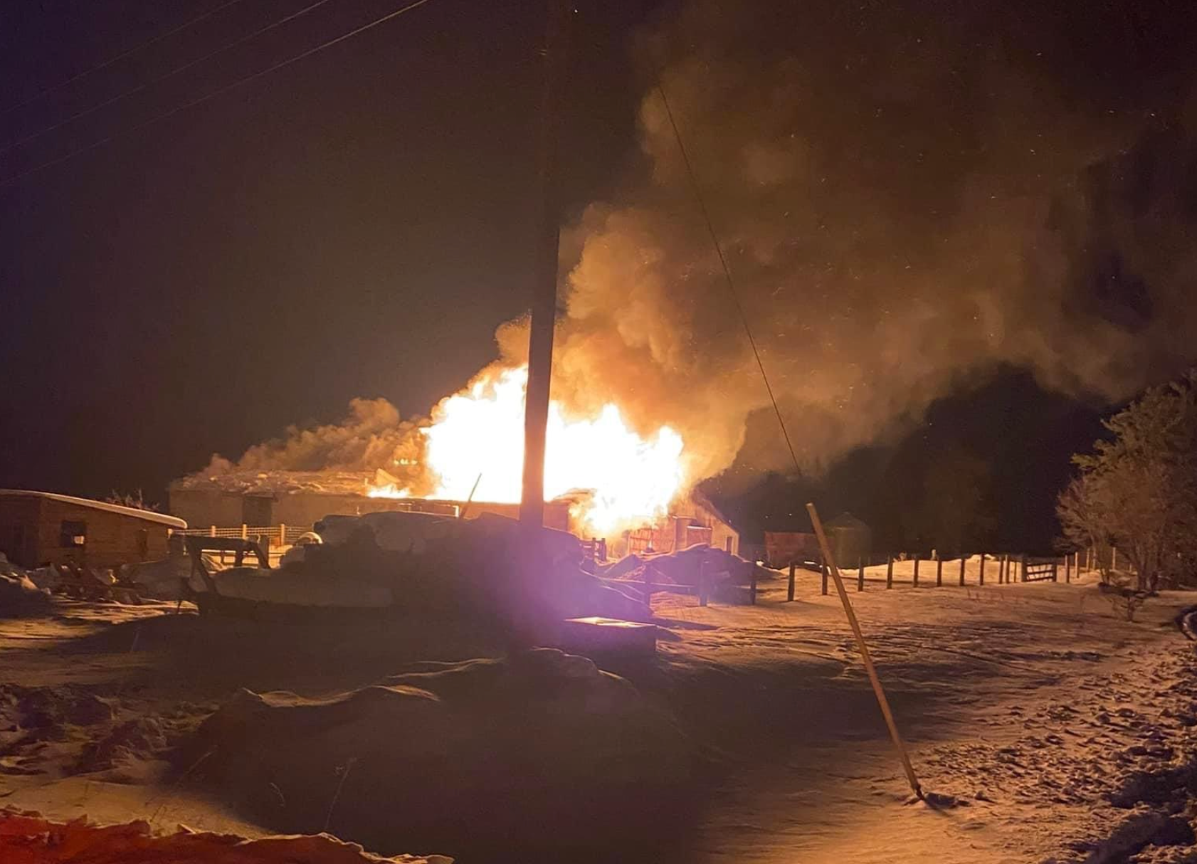 Sheriff: Livestock killed in barn fire near Nimrod, Minnesota - Bring ...