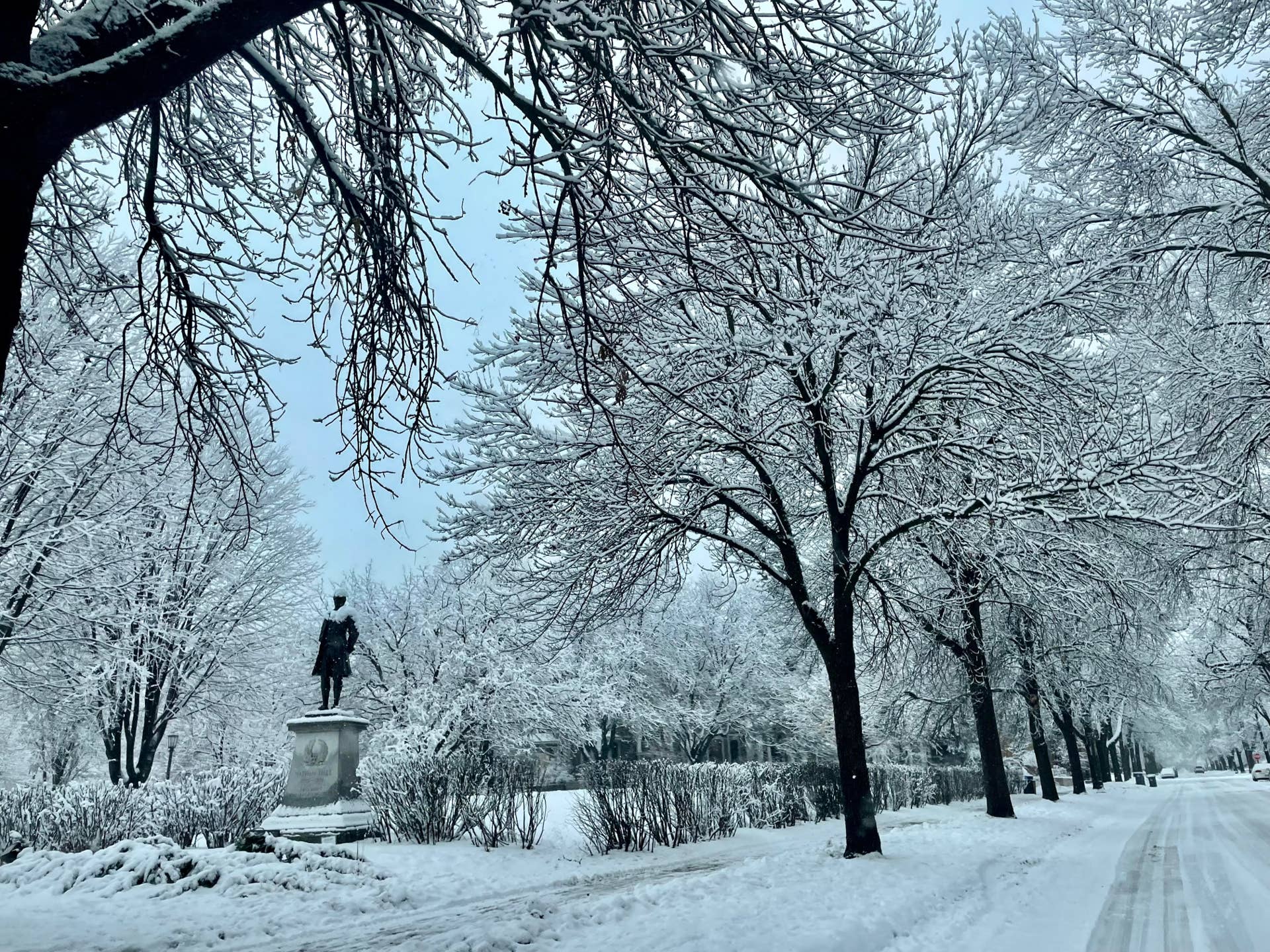 How much snow fell in Minnesota during Tuesday's winter storm? - Bring ...
