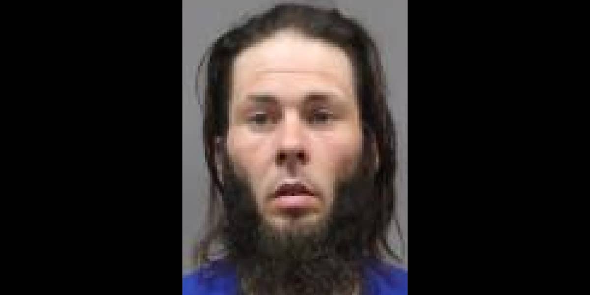 Man charged with kidnapping, soliciting a child in Forest Lake runaway ...