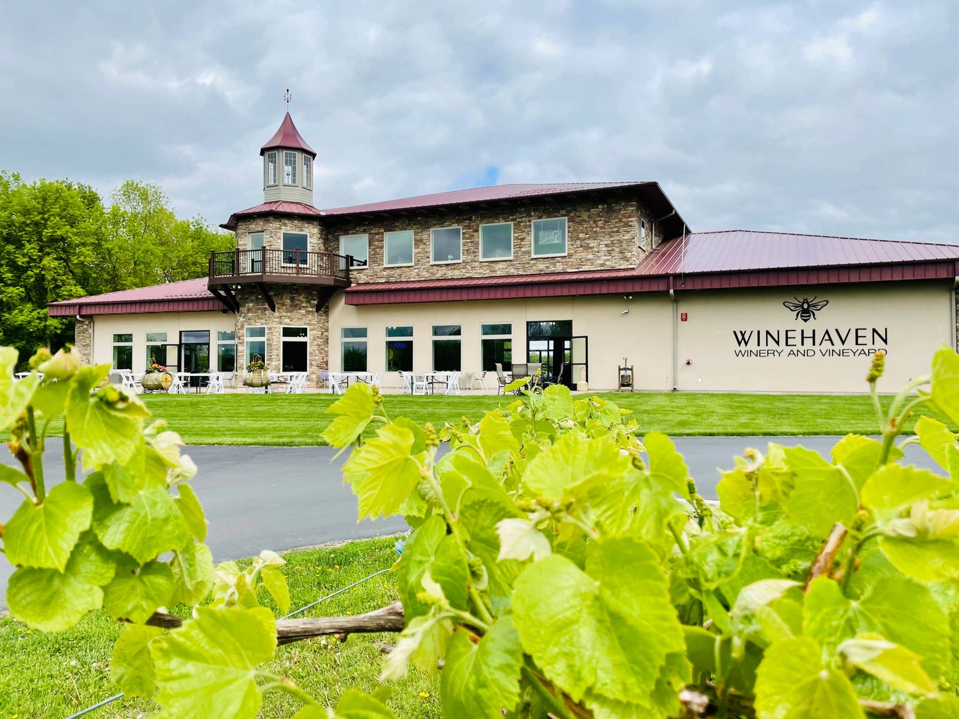 7 wineries to visit within an hour of the Twin Cities - Bring Me The News