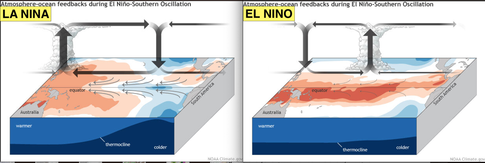 La Niña is coming. What does it mean for Minnesota's winter? - Bring Me ...
