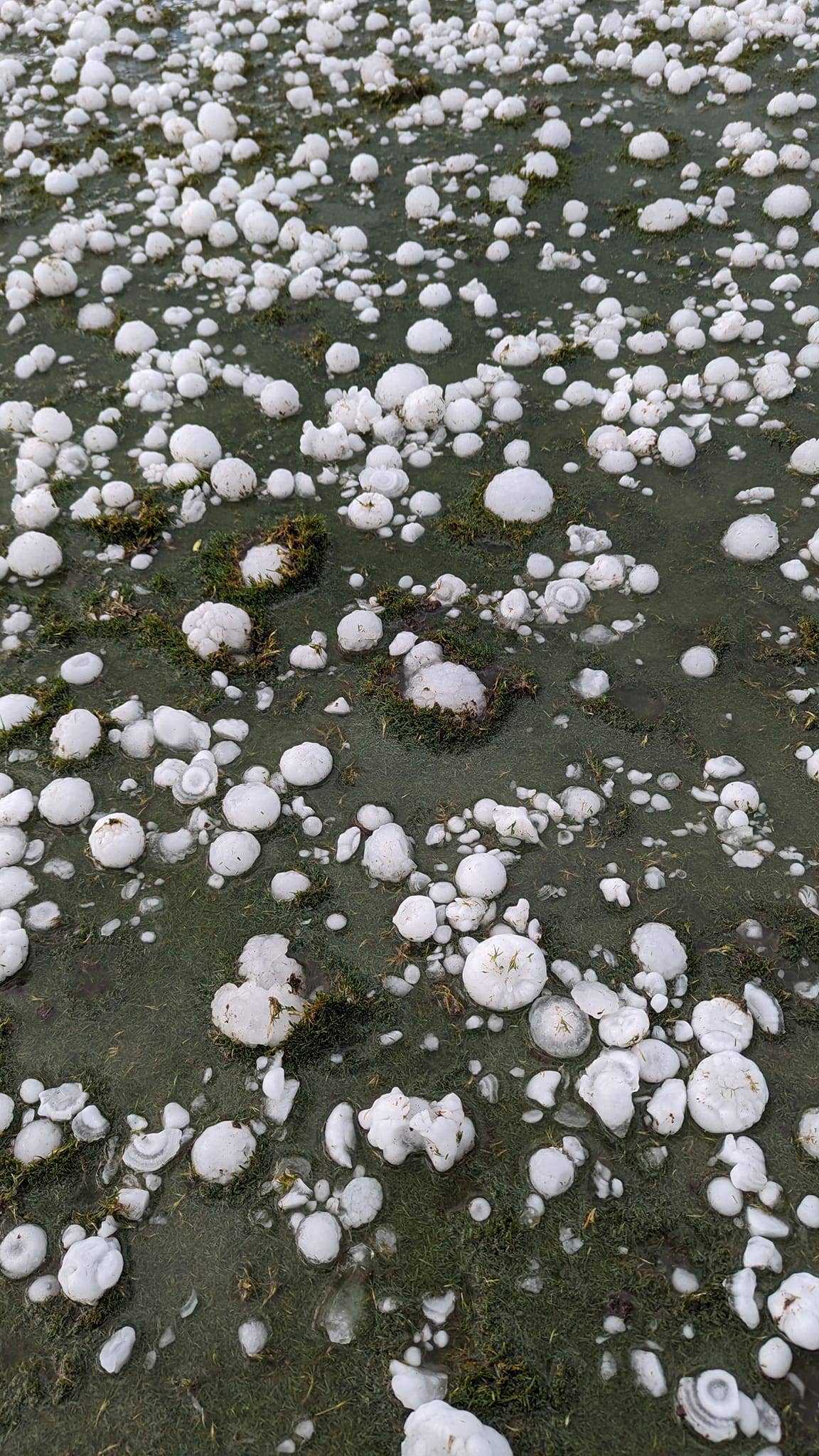 Massive hail obliterates greens at Minnesota golf course - Bring Me The ...