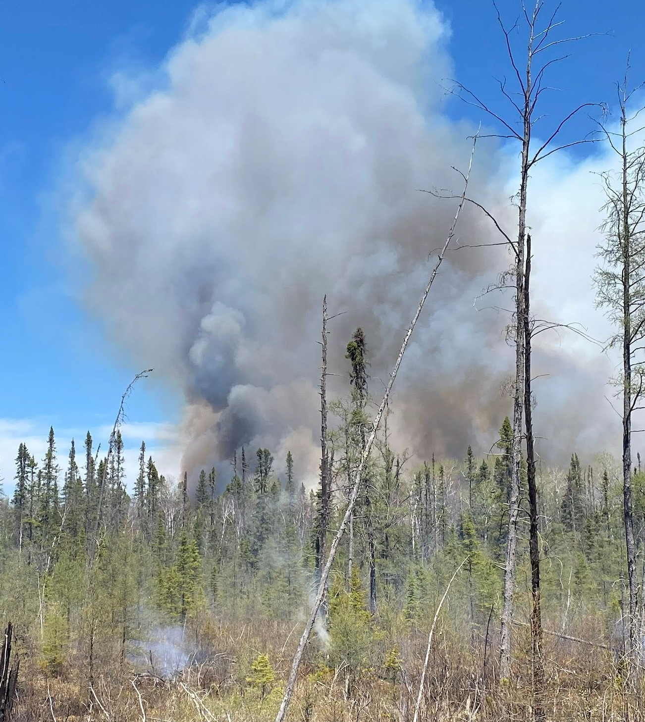 Sheriff: Over 40 buildings lost, community 'devastated' by Minnesota ...