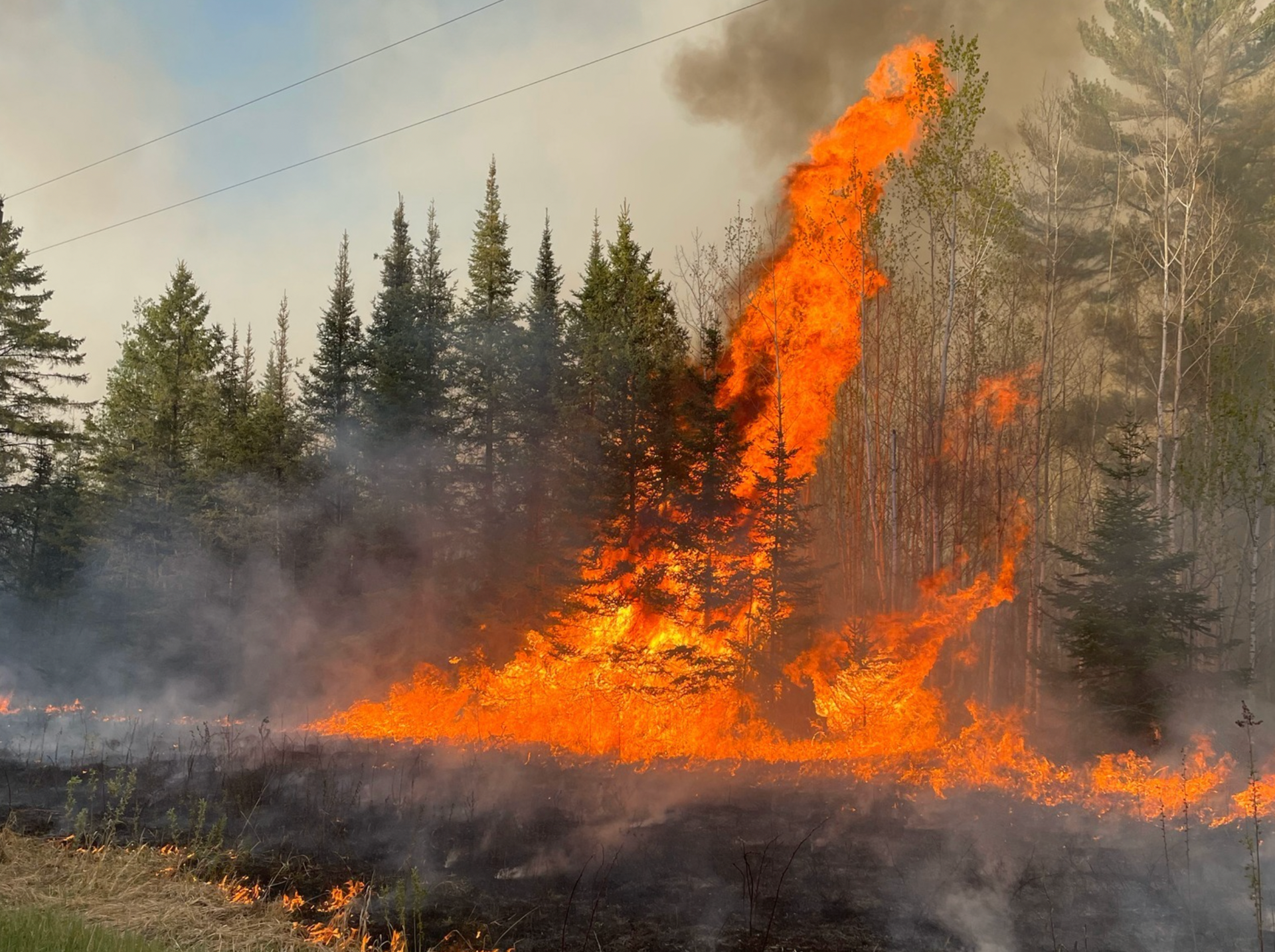 Saturday latest on the Jenkins Creek, Camp House and Munger Shaw ...