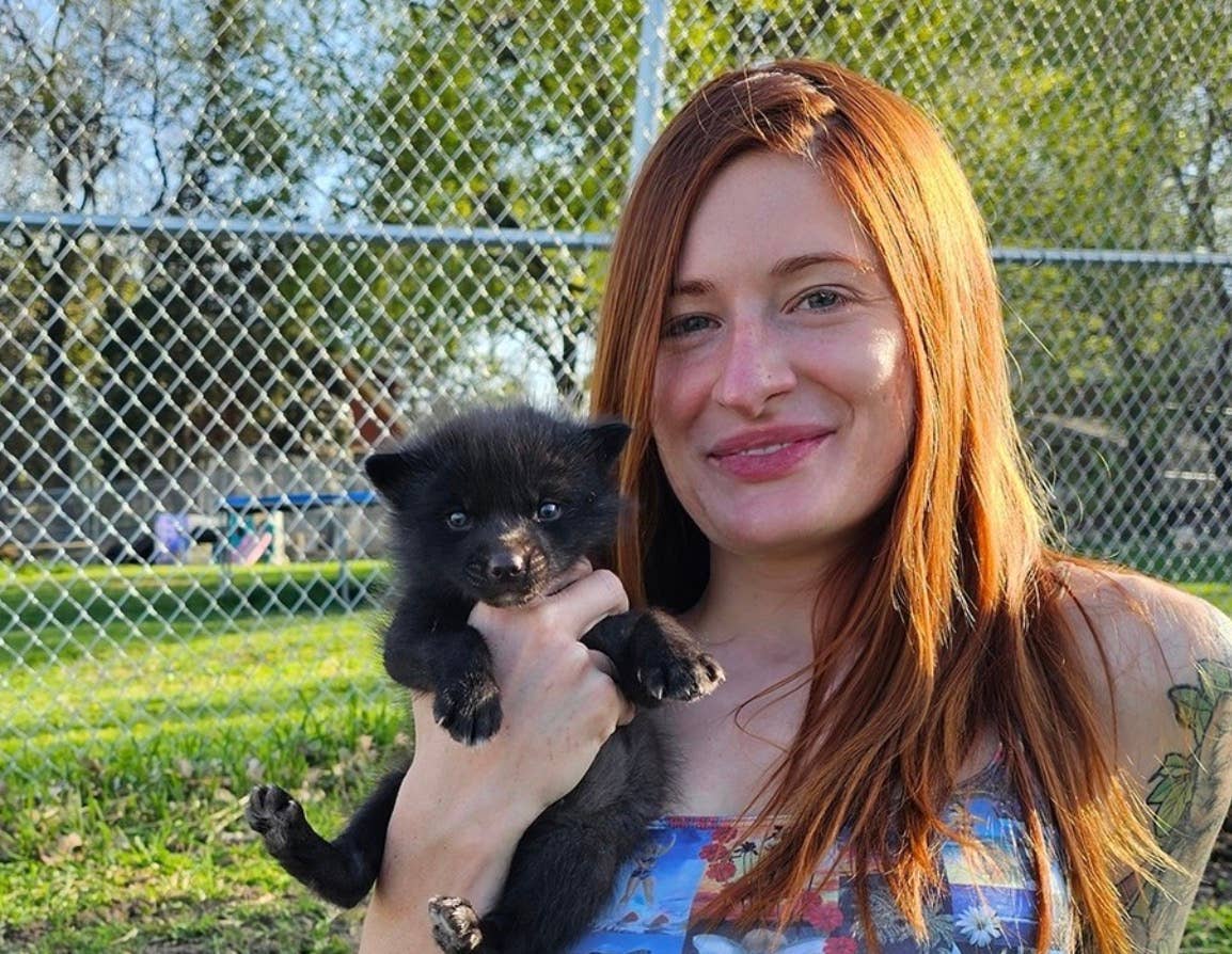 Fox rescue activist and popular YouTuber Mikayla Raines dies by suicide ...