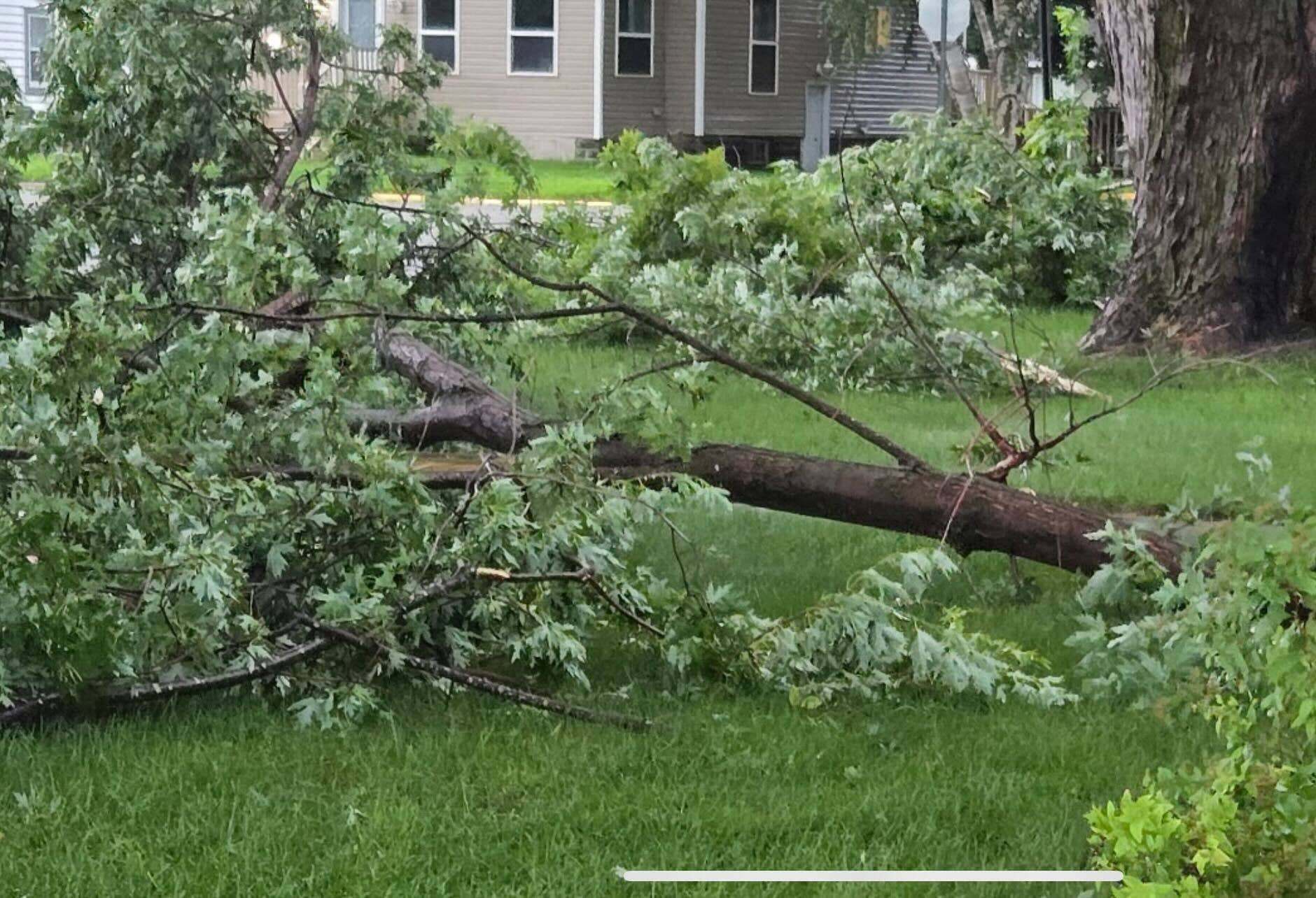 75,000 without power after storms cause damage in Twin Cities - Bring ...