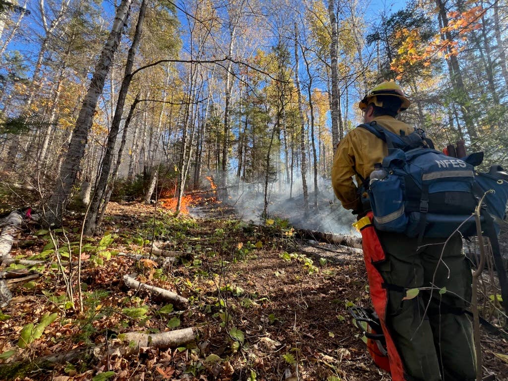 Mn Wildfire - Bring Me The News