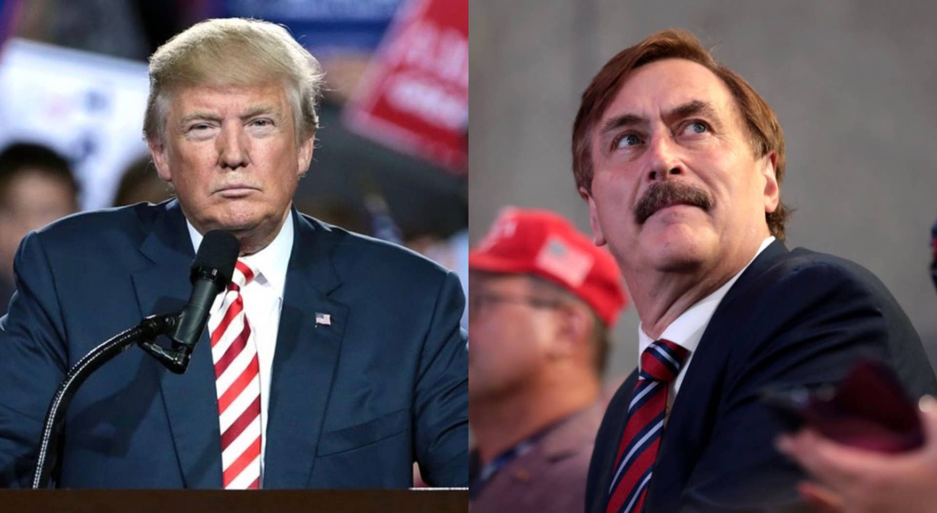 President Trump appears to back Mike Lindell in run for Minnesota ...