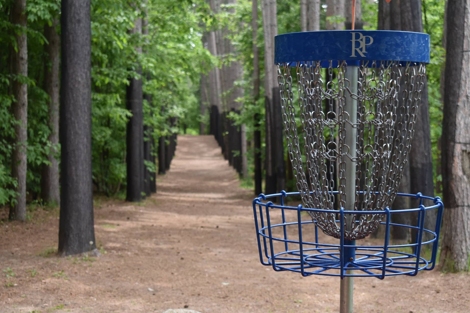 3 of the world's best disc golf courses are in Minnesota, according to ...