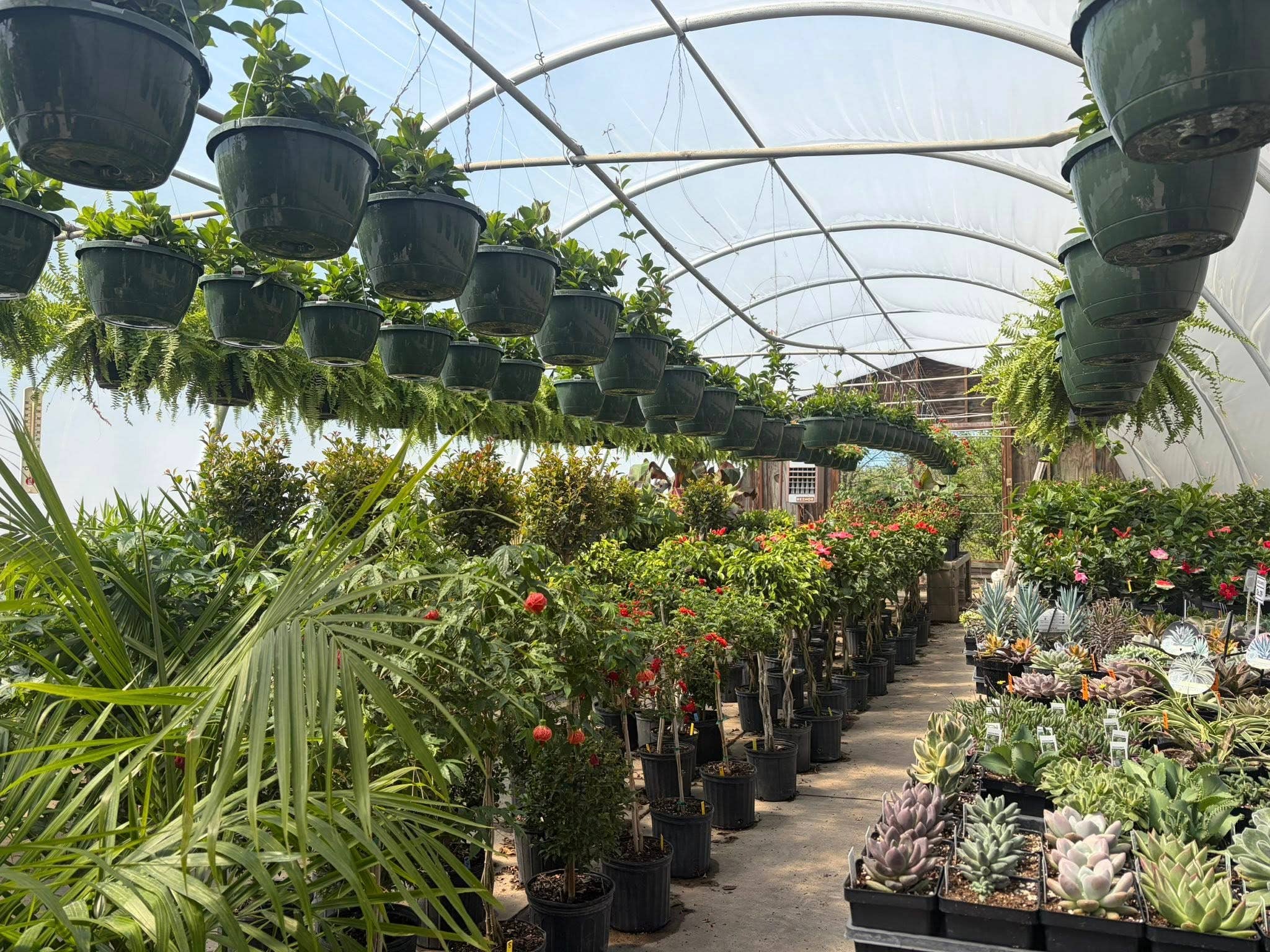Gerten's Farm Market to end 43-year run after 2026 season - Bring Me ...