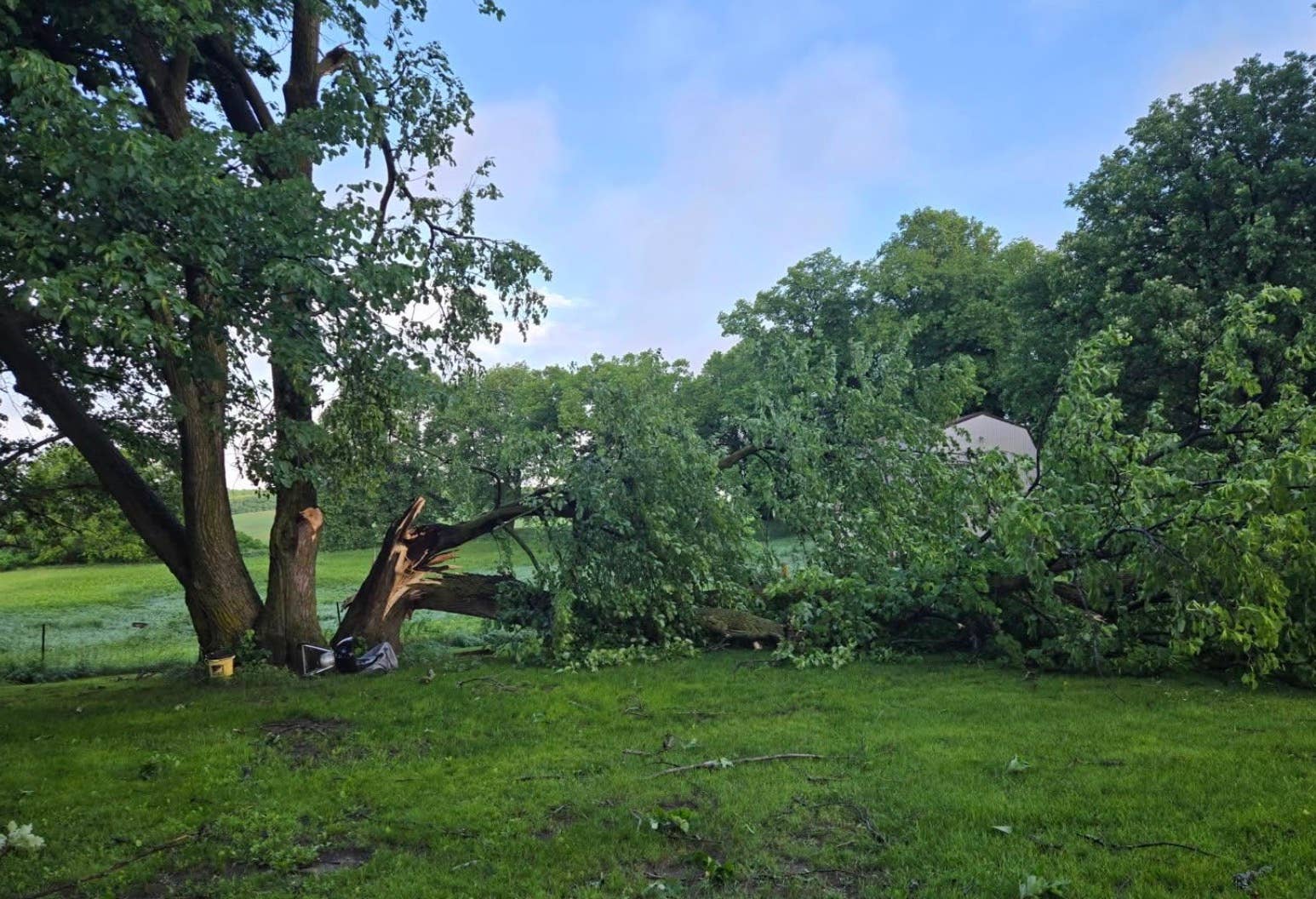 Severe storm damage: 35,000 without power in Twin Cities, train derails ...