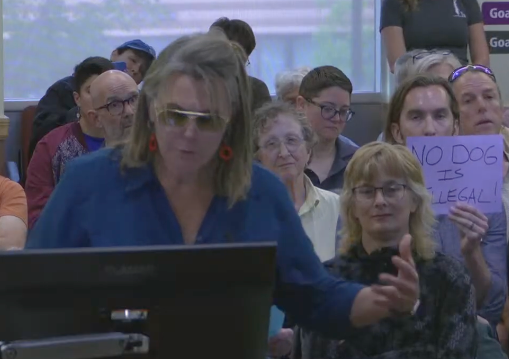 Fiery debate as dog lovers pack Minneapolis meeting ahead of vote on ...