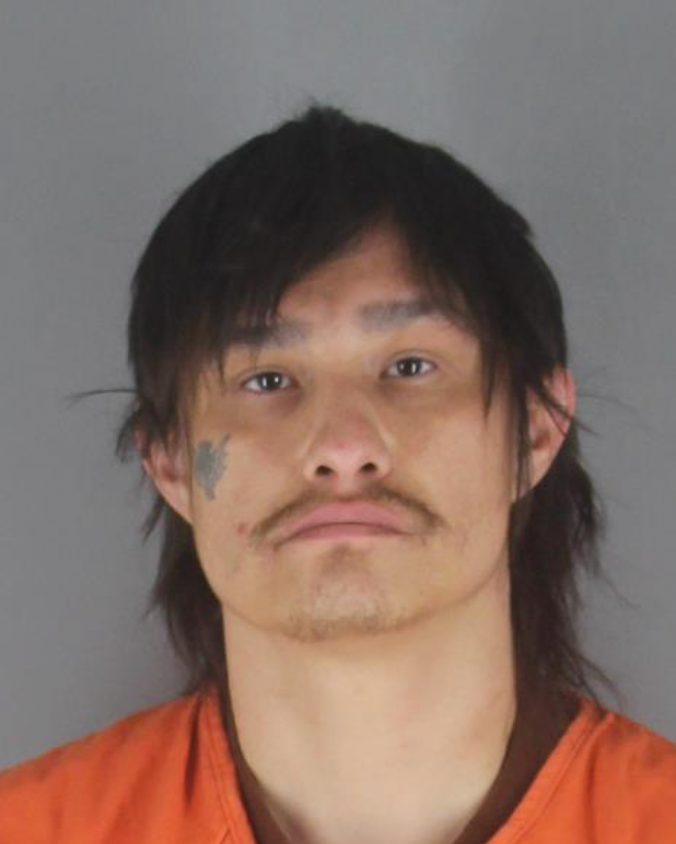 Man charged in fatal stabbing caught on camera at Minneapolis park ...