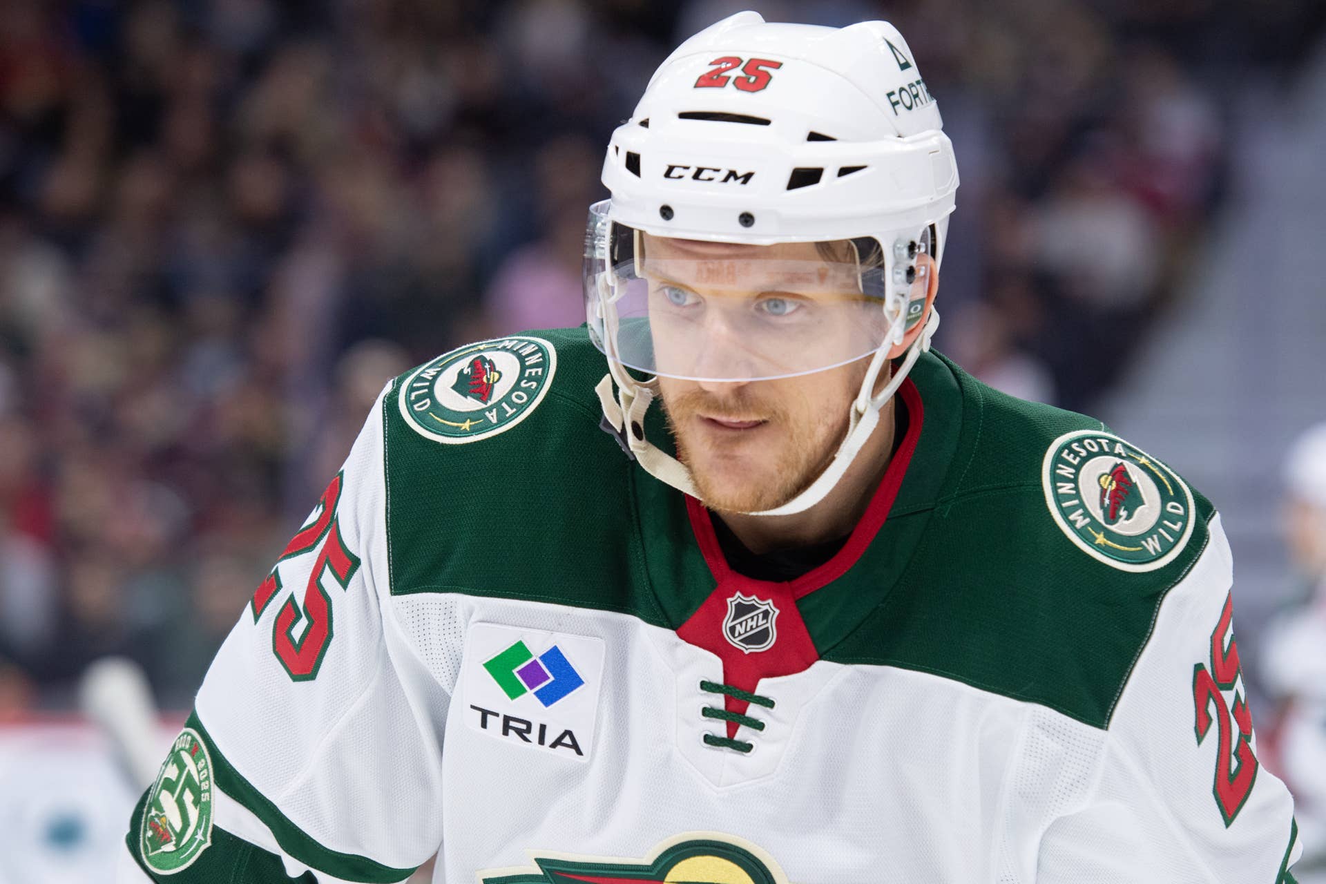 Eriksson Ek, Brodin reveal injuries behind Wild playoff absences ...