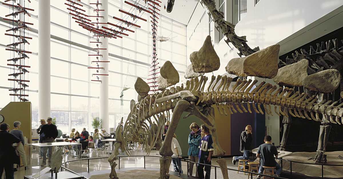 Science Museum of Minnesota lays off 13% of staff amid funding ...