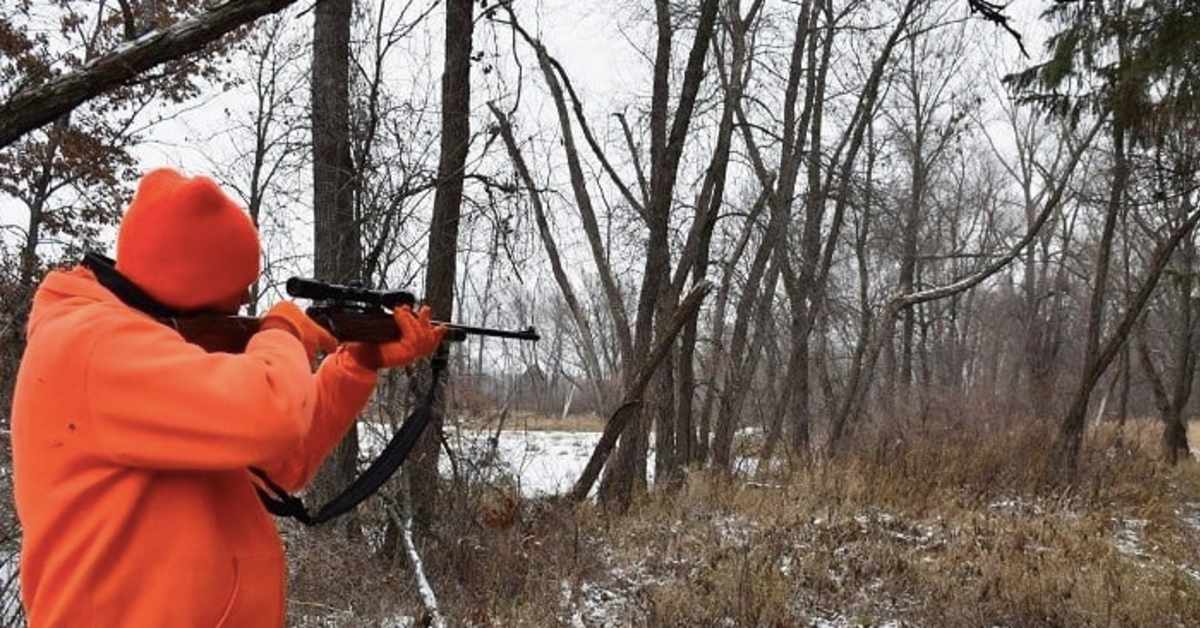 To combat CWD, late-season deer hunting announced for 9 areas of MN ...