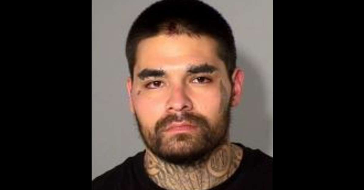 Charges reveal details of 'domestic kidnapping' that sparked police ...