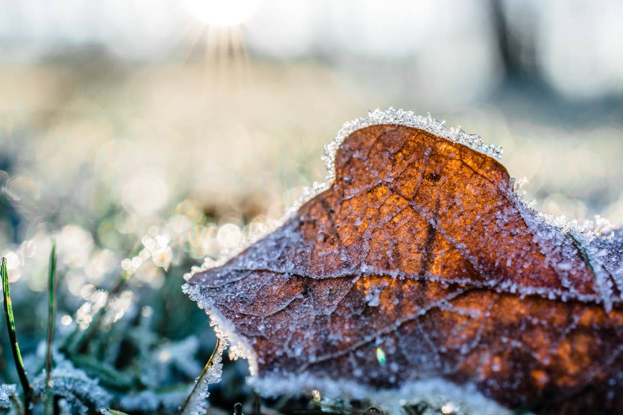 First snowflakes this week in Minnesota? Major cooldown after Tuesday ...