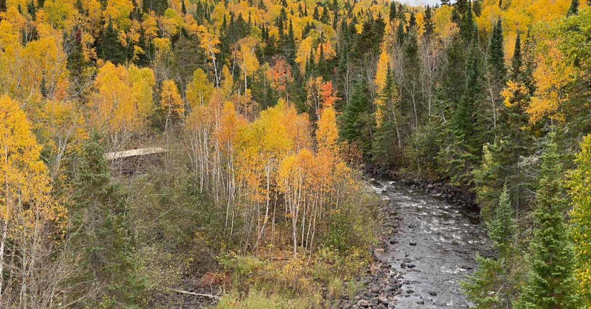 DNR map shows when stunning fall colors may arrive in Minnesota - Bring ...