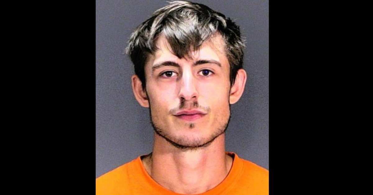 Man accused fatally running down teen girl in Forest Lake rejects plea ...