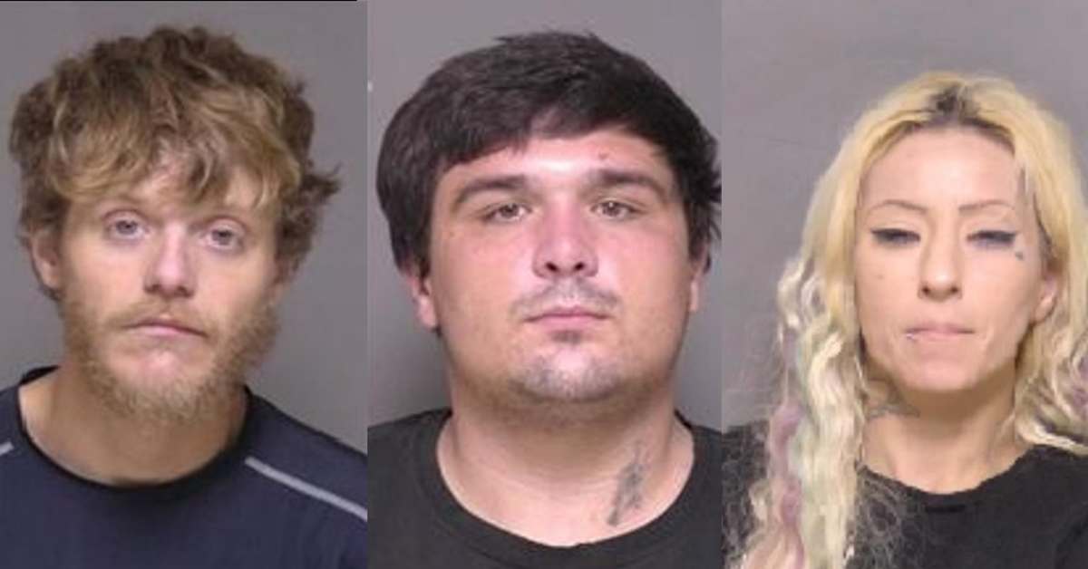 Nearly 60 lbs of drugs found in Rochester search warrants, 3 charged ...