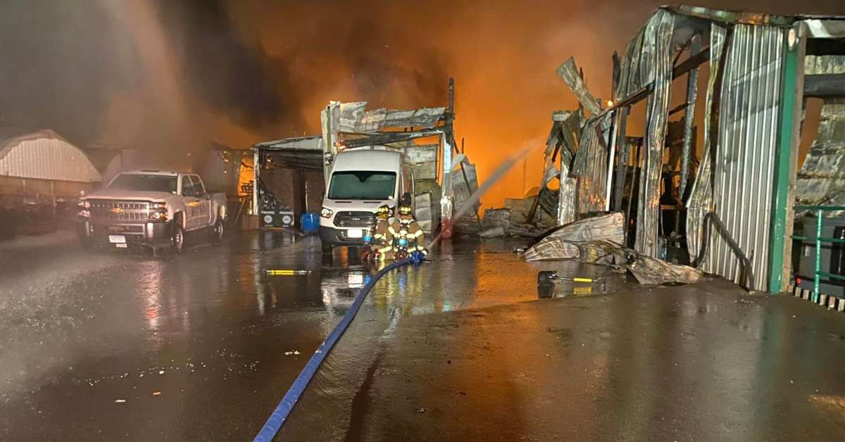 5 youths are 'persons of interest' in Maple Grove greenhouse fire ...