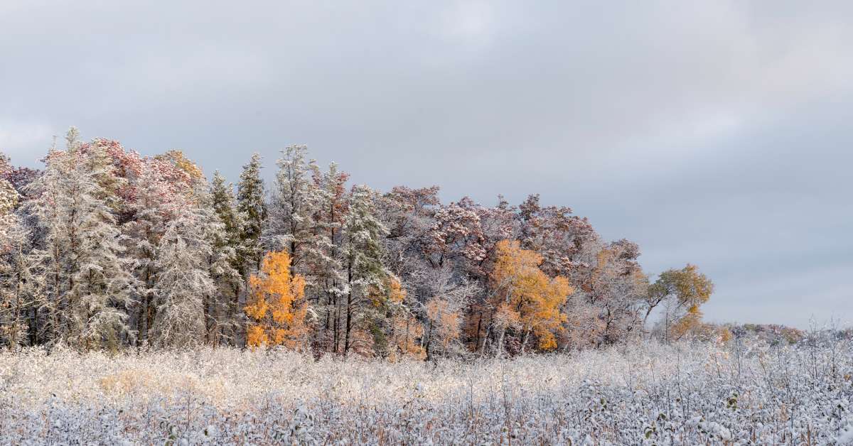The Farmers' Almanac believes Minnesota's fall weather will be frigid ...