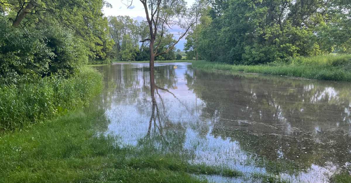 How much rain fell in Minnesota during the Sunday-Monday storm - Bring ...