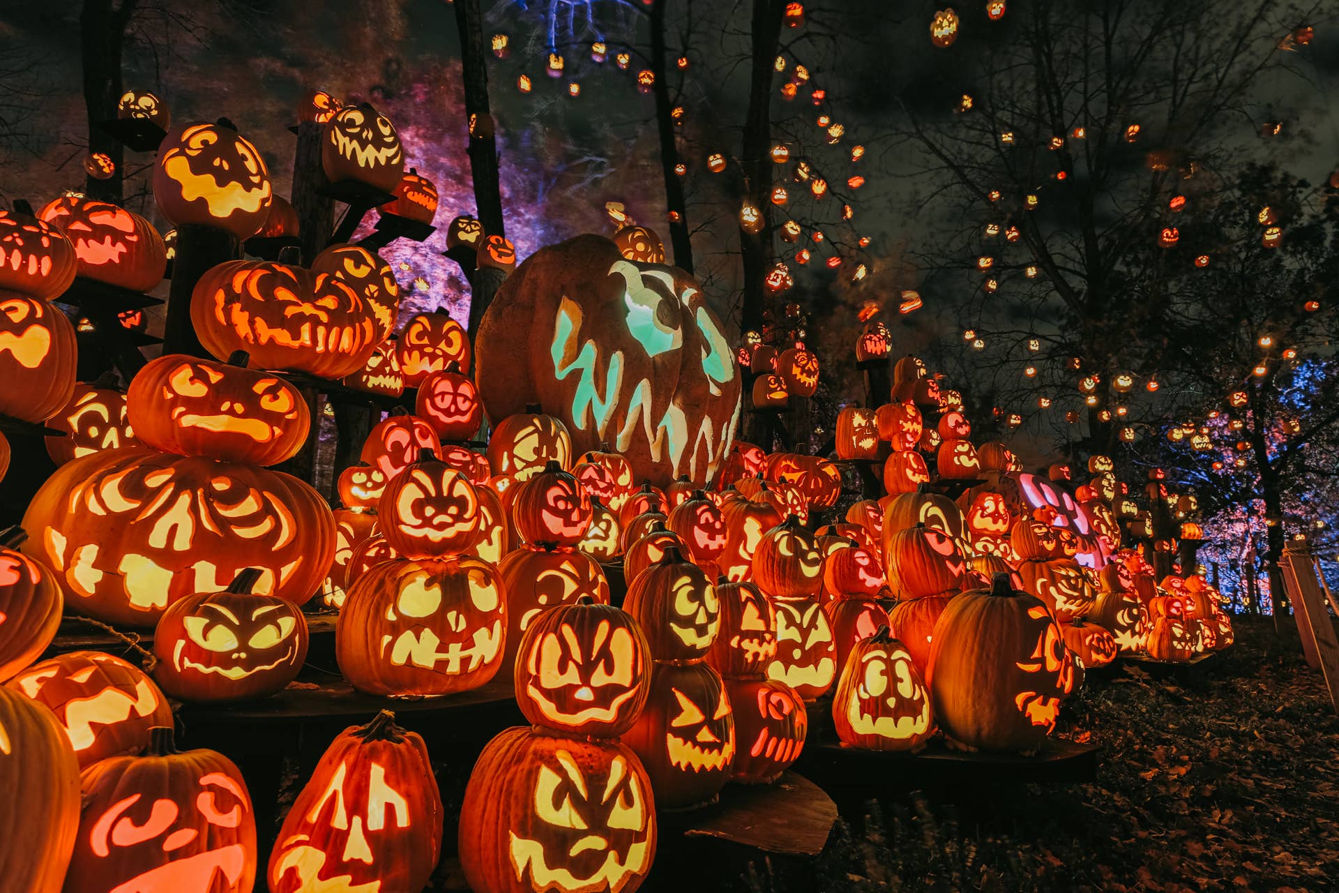 Minnesota Zoo announces the return of its Jack-O-Lantern Spectacular ...