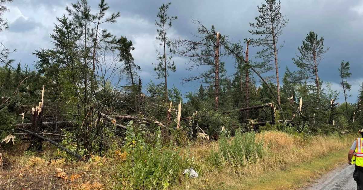 Tornado damage reported after Thursday's severe storms in Minnesota ...