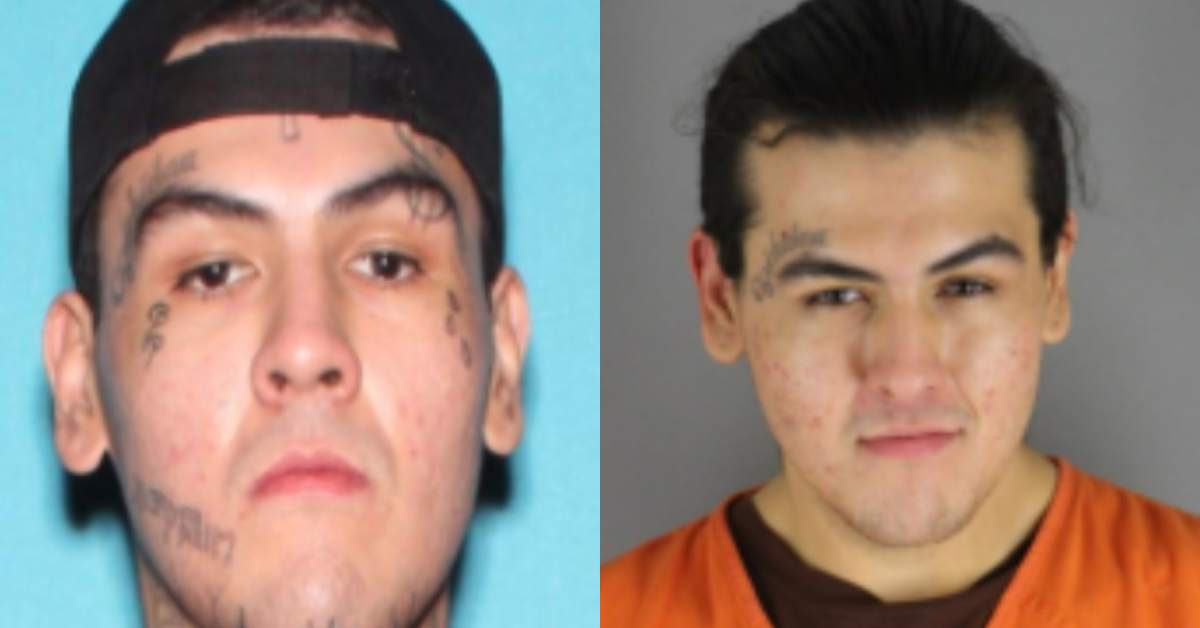 Man sentenced to 6.5 years in prison for crash that killed classic car ...