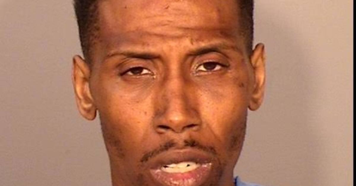 St. Paul man facing 14 felonies after carjacking and shooting spree ...