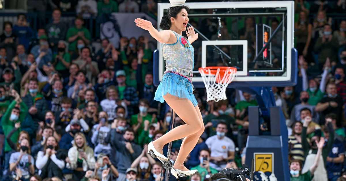 Red Panda suffered 'severely' broken wrist in fall during Lynx-Fever ...