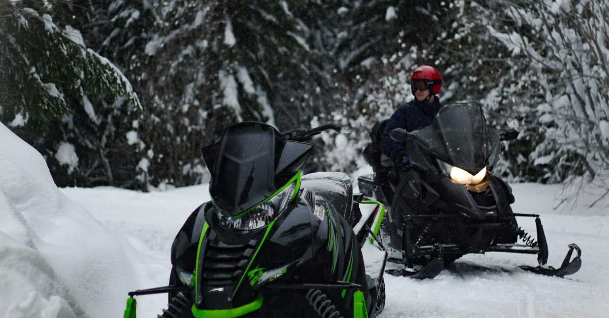 Arctic Cat set for possible comeback after company sold to former exec ...
