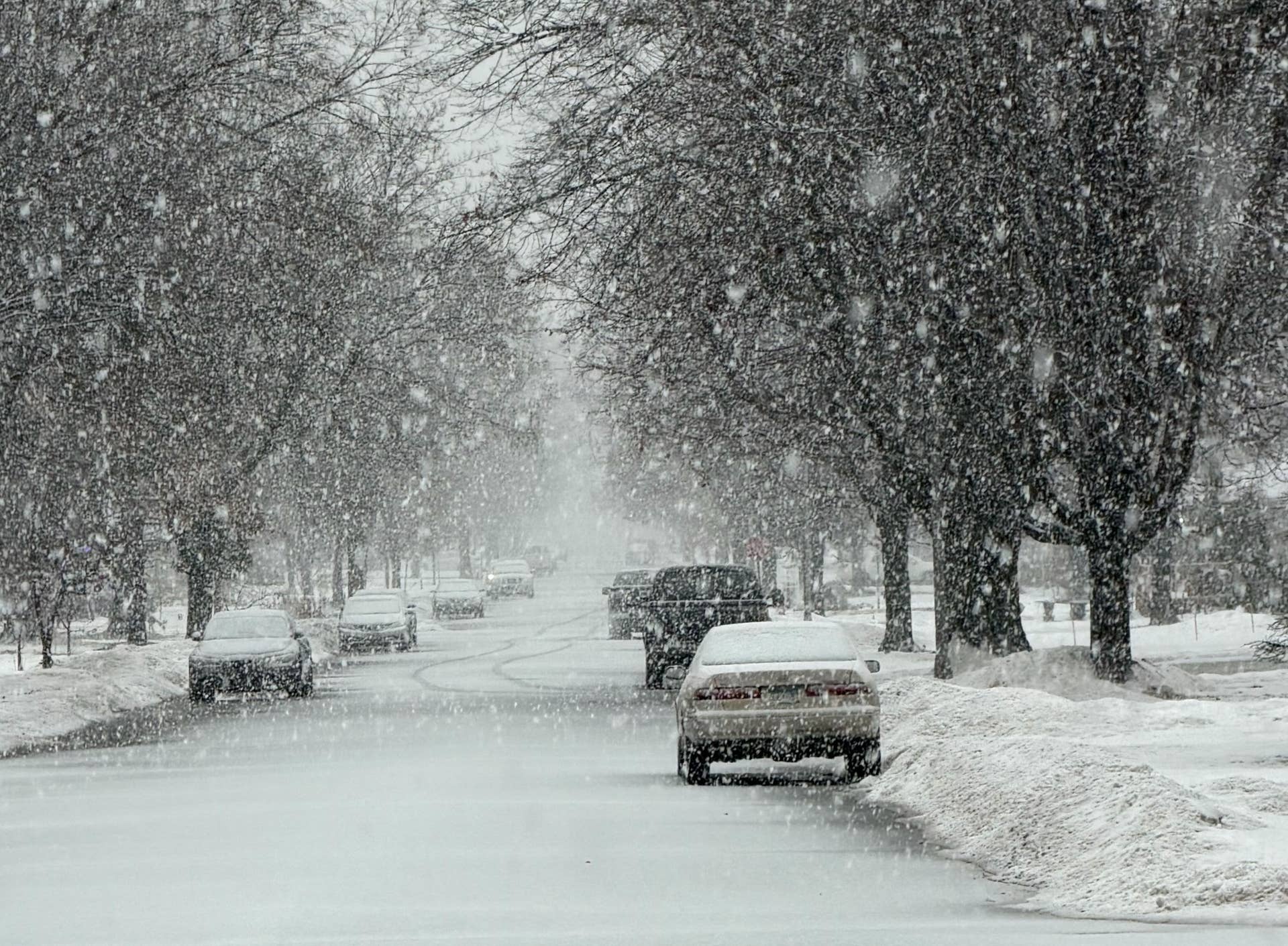 How much snow will fall in Minnesota this weekend? - Bring Me The News