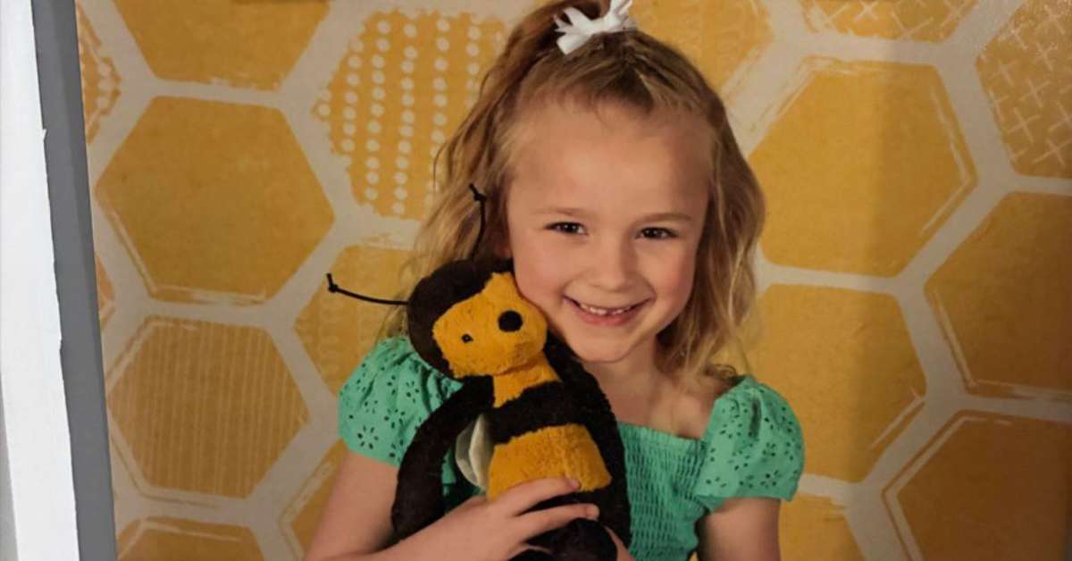 AMBER Alert: Suspect in girl's abduction is Maple Grove man, arrested ...