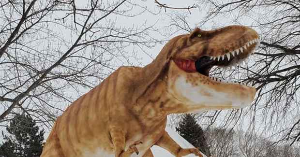 Minnesotan's giant T-rex snow sculpture wows visitors, passersby ...