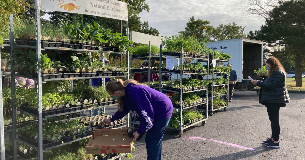 List of 2025 spring plant sales in the Twin Cities - Bring Me The News