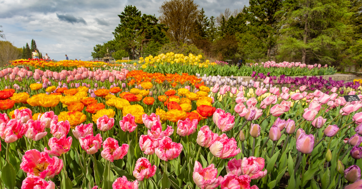 Spring in Minnesota: Warmest for the Twin Cities in 8 years - Bring Me ...