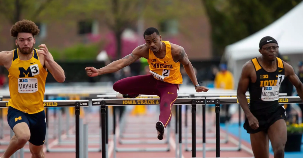 More details released on crash that killed former Gophers track star ...