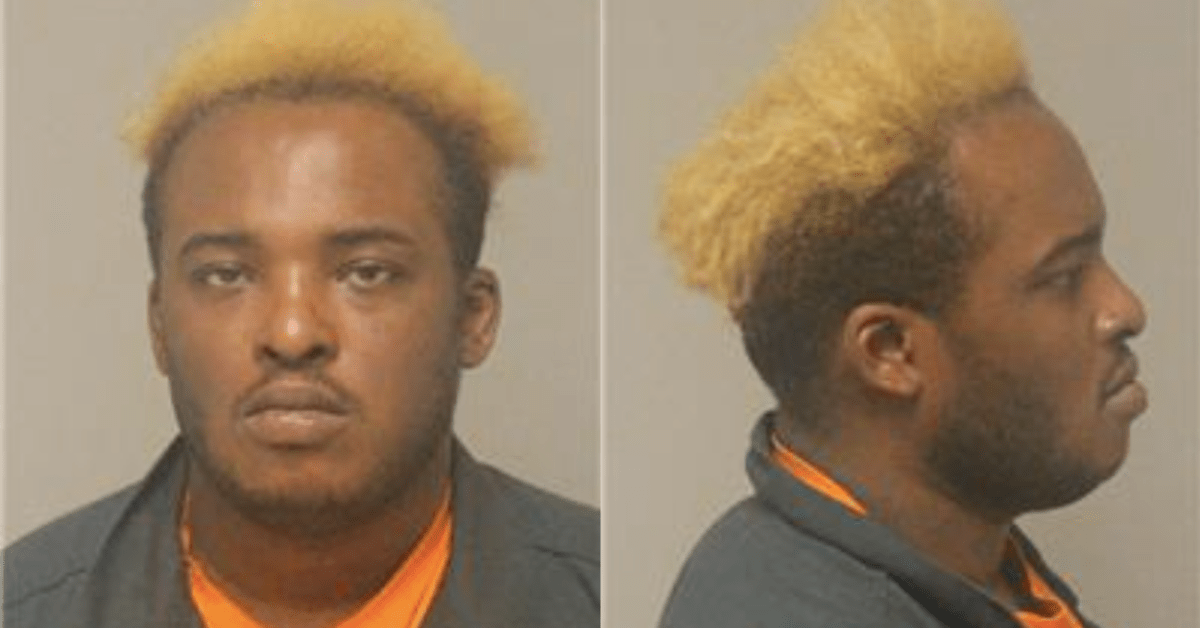 Charges: Coon Rapids man, 25, stabbed mom's boyfriend to death after ...