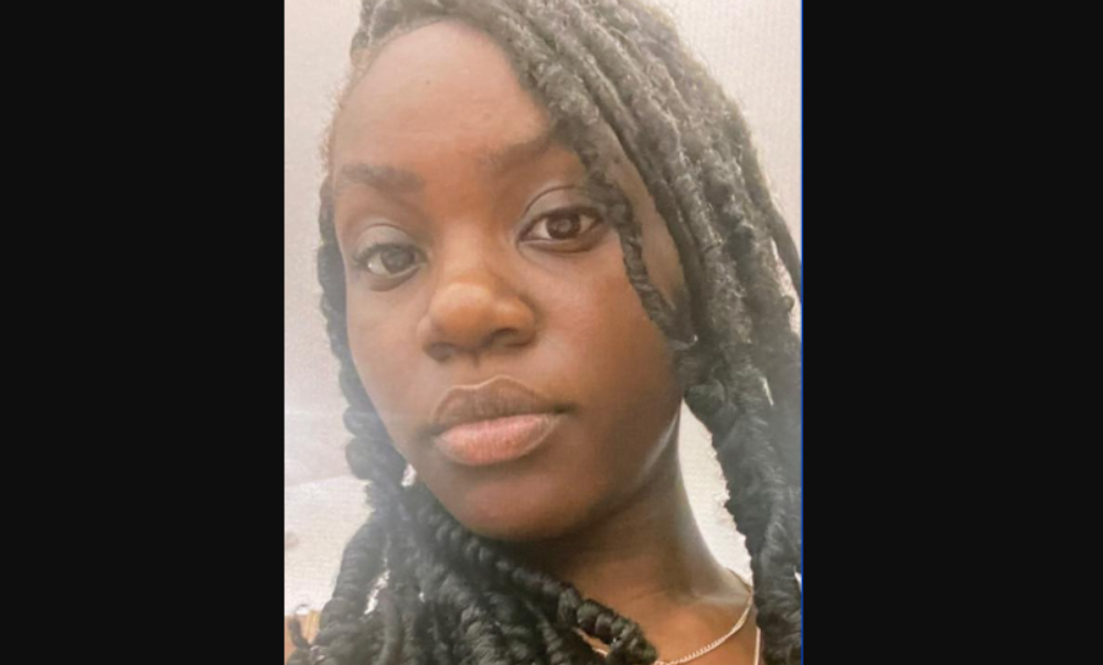 Police ask for help finding 'missing runaway' teen from Fargo - Bring ...